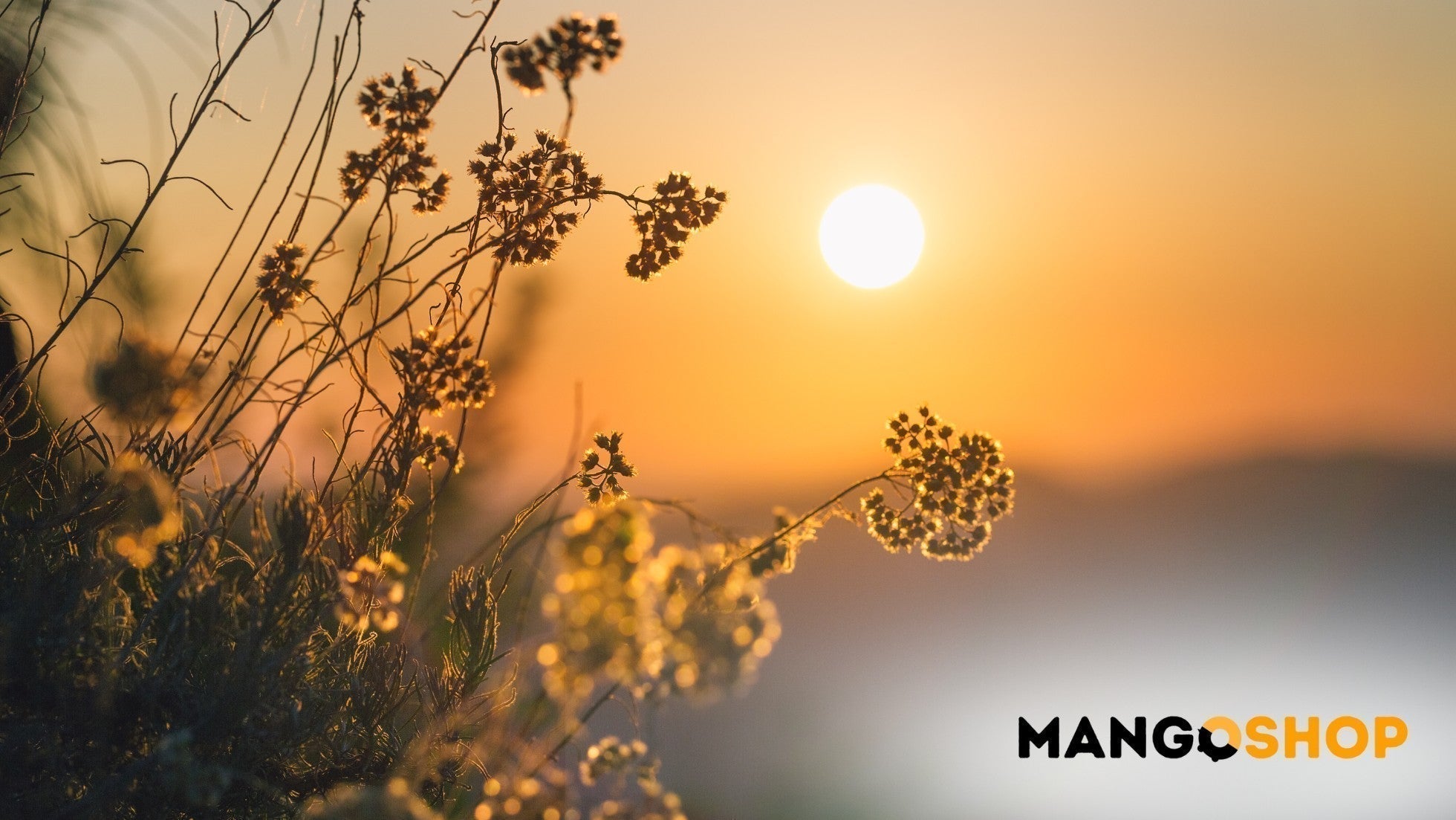 Šta je jesenja ravnodnevnica i zašto je važna? – Mango shop